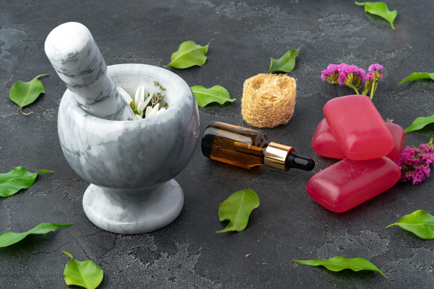 Orvosi pióca hatóanyagos kezelés - Pióca Doktor